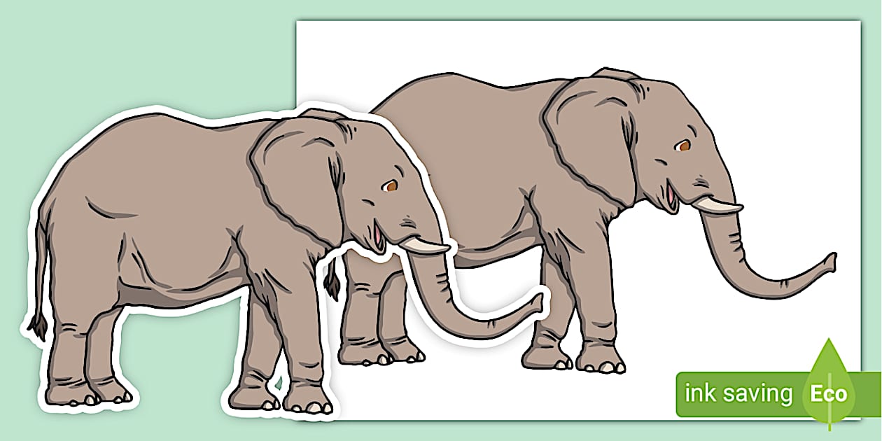 Large Elephant Display Cut-Out (teacher made) - Twinkl