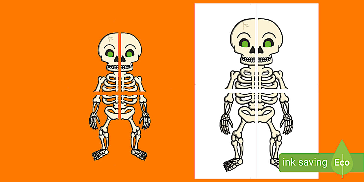 Extra Large Display Skeleton Cut-Out (Teacher-Made) - Twinkl