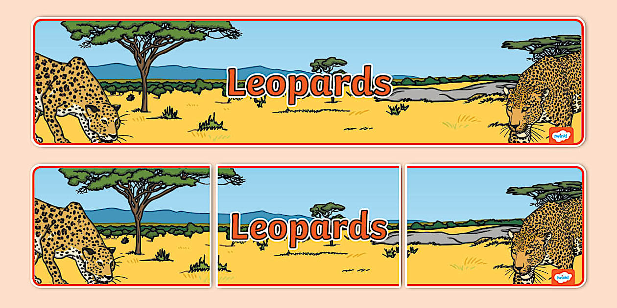 Leopards Display Banner (Teacher-Made) - Twinkl