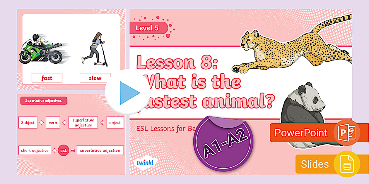 ESL Curriculum Level 5, Lesson 8 (teacher made) - Twinkl