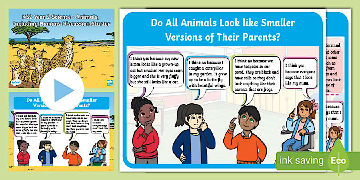 KS1 Year 2 Animals, Including Humans Science Discussion Starter