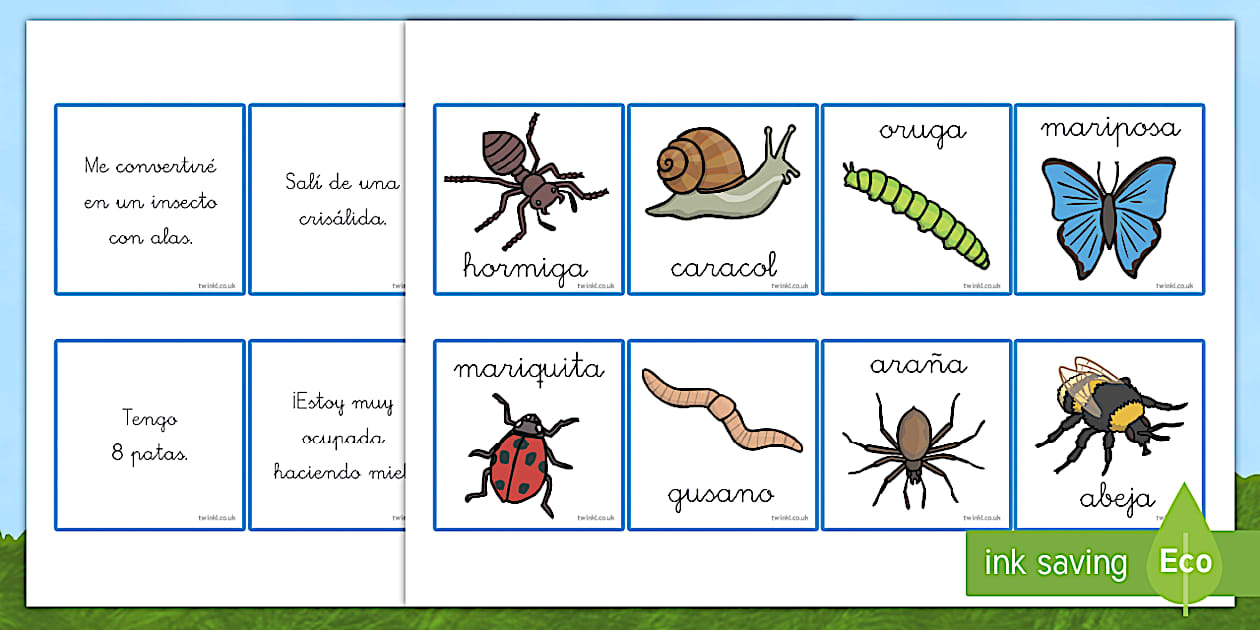 Tarjetas de emparejar: Descripciones de los bichos - Twinkl