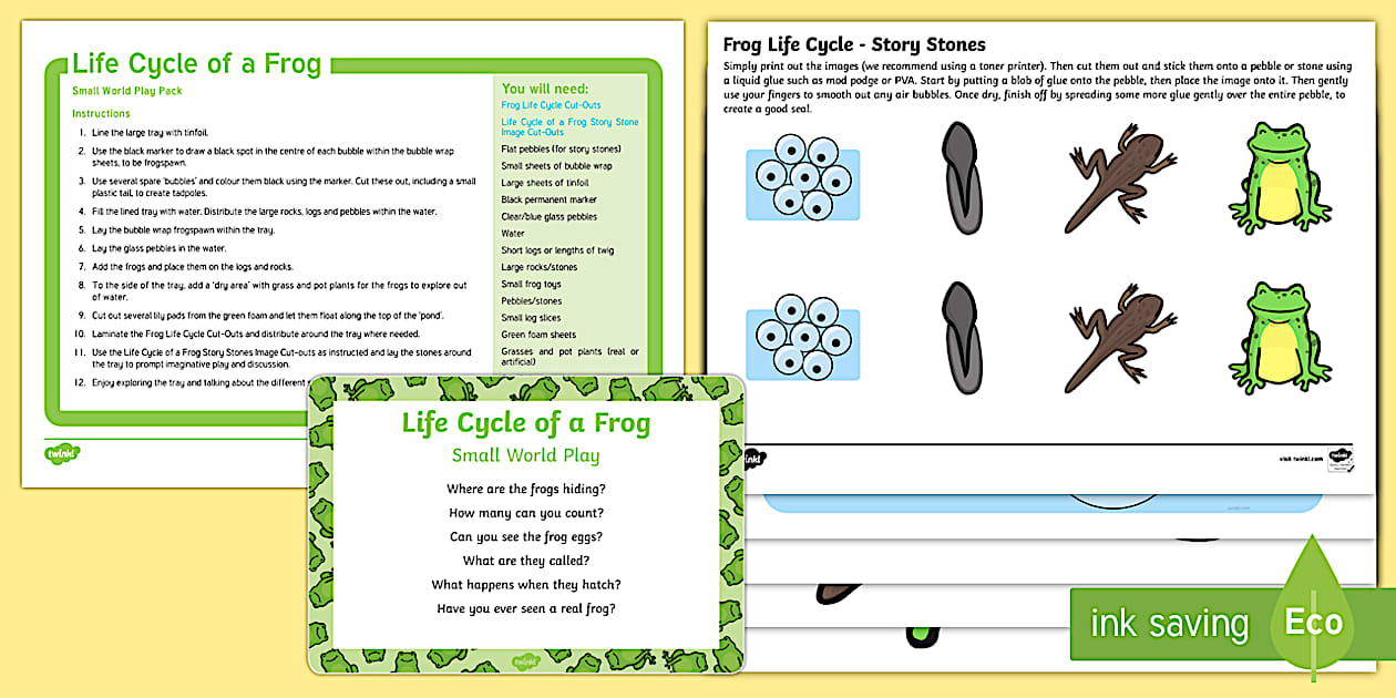 EYFS Life Cycle of a Frog Small World Play Idea and Printable Resource Pack