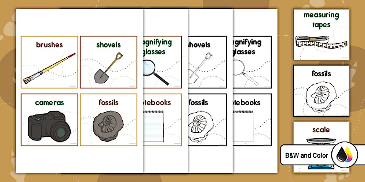Fossil Hunter Dramatic Play Labels for Kids | Twinkl USA
