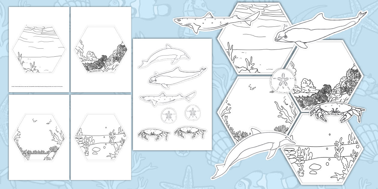 Sea Creatures Hexagon Display Colouring Activity - Twinkl