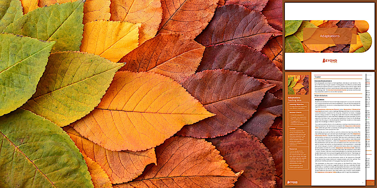 Adaptations Lesson Pack | KS3 Biology | Beyond Science