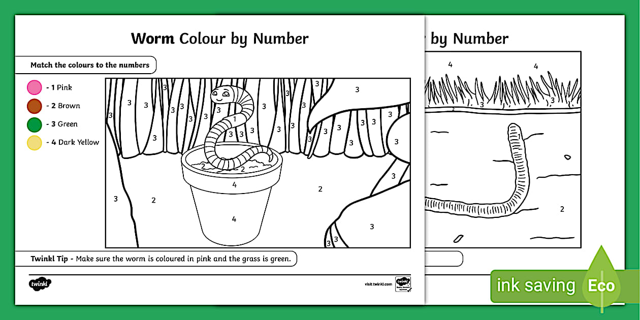 Worm Colour by Number Pages (teacher made) - Twinkl