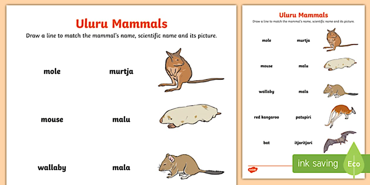 Uluru Mammals Word and Picture Matching Worksheet / Worksheet-Australia,