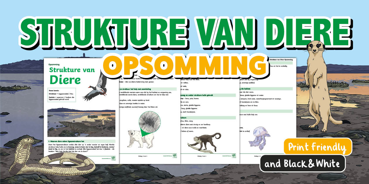Graad 4 Natuurwetenskappe en Tegnologie - Kwartaal 1 - Strukture van ...