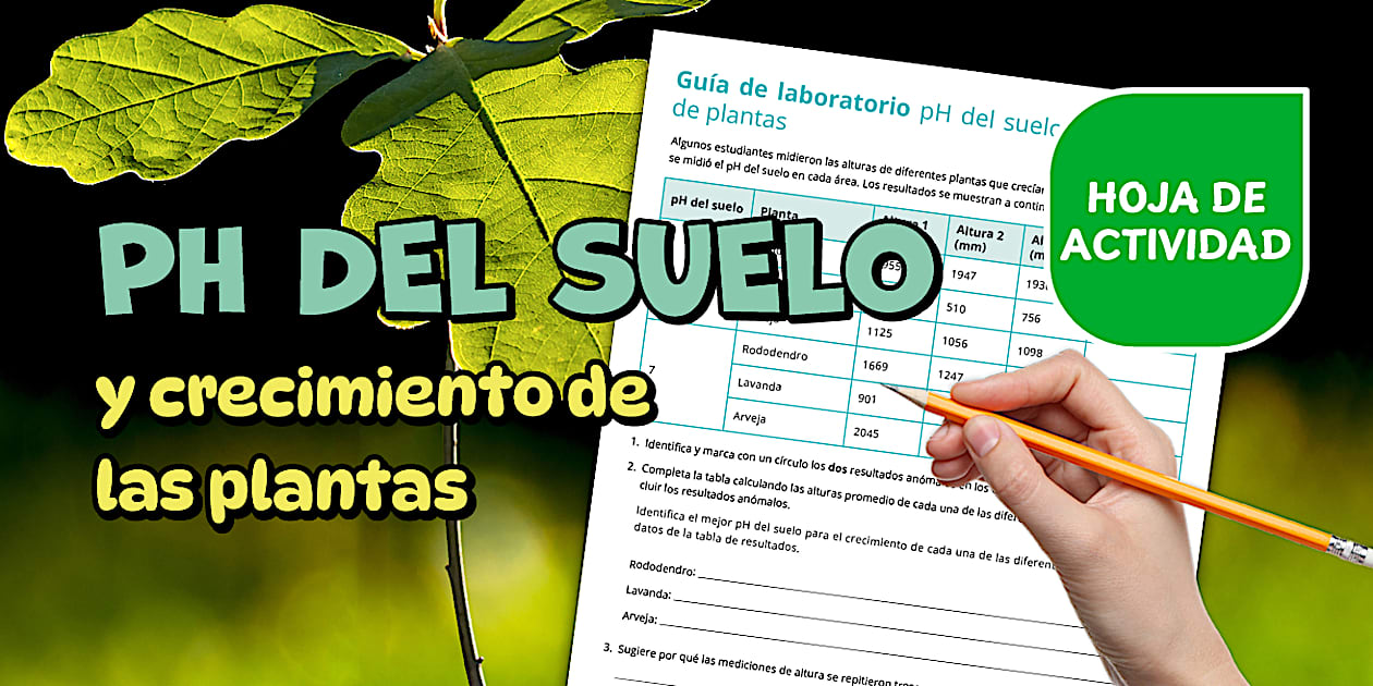 Actividad sobre pH del suelo, bachillerato - Twinkl Colombia