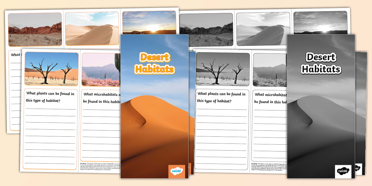 Desert Habitats Leaflet Template (teacher made) - Twinkl