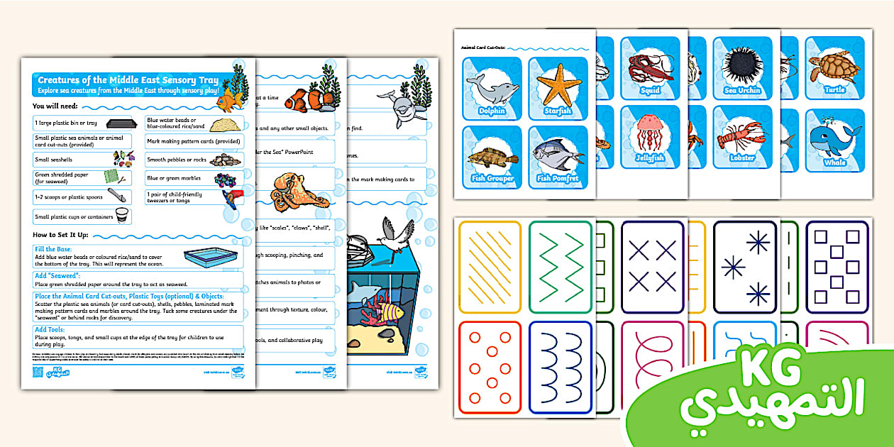 Under the Sea Sensory Tray Activity for EYFS | Explore Middle Eastern Sea