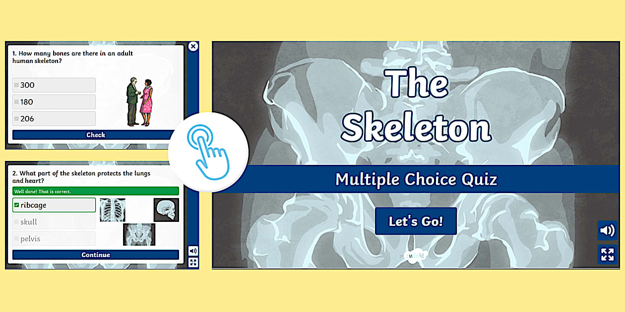 Multiple Choice KS2 Skeleton Quiz | Twinkl Go! - Twinkl