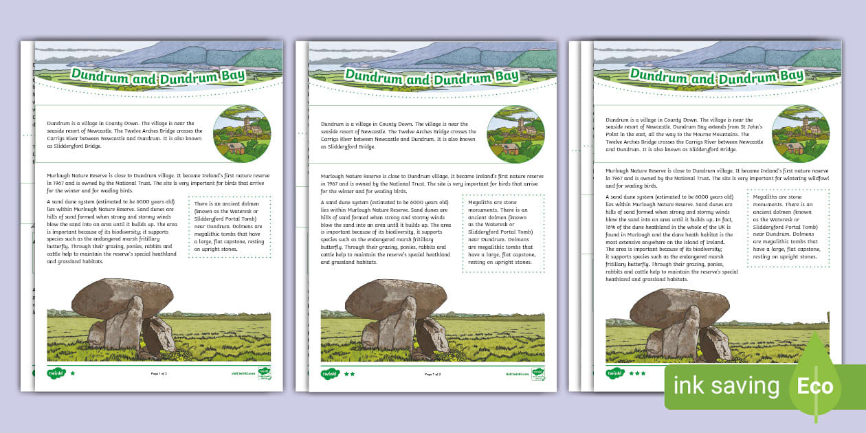 Dundrum and Dundrum Bay Differentiated Fact File - Twinkl