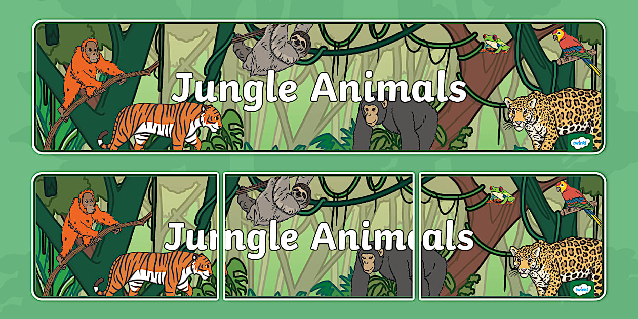 Jungle Animals Display Banner (teacher made) - Twinkl