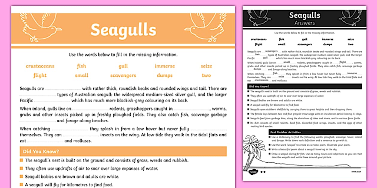 Australian Animals Years 3-6 Seagulls Differentiated Cloze Passage ...