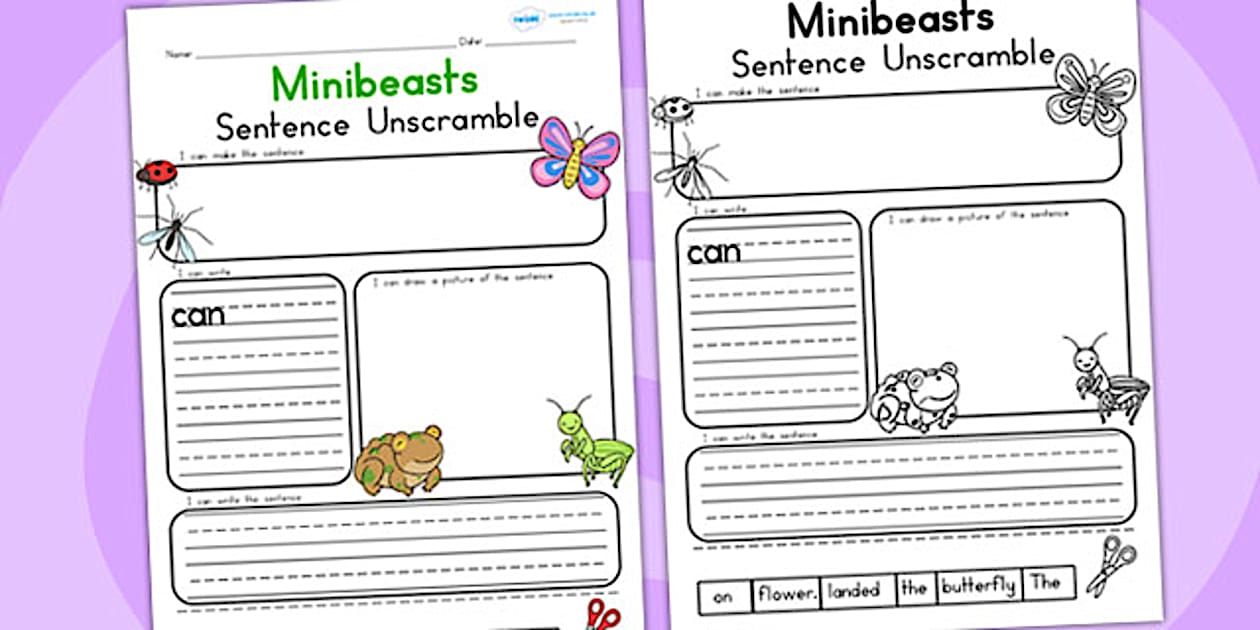 Black and White Minibeast Cute Sentence Unscramble - Twinkl