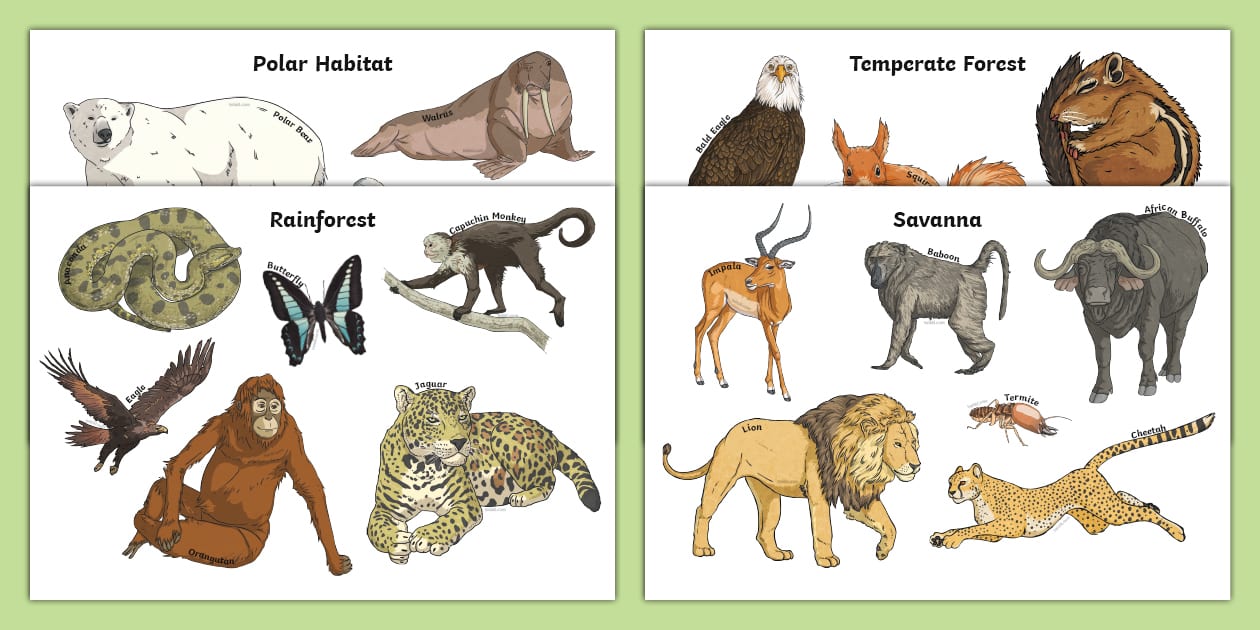 Animal Habitats Pictures PDF - Twinkl South Africa
