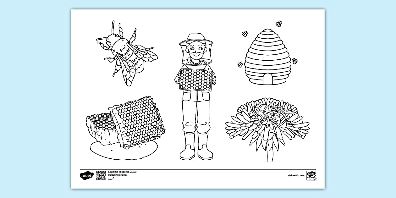 Beehive Honeycomb Doodle Colouring Sheet (teacher made)