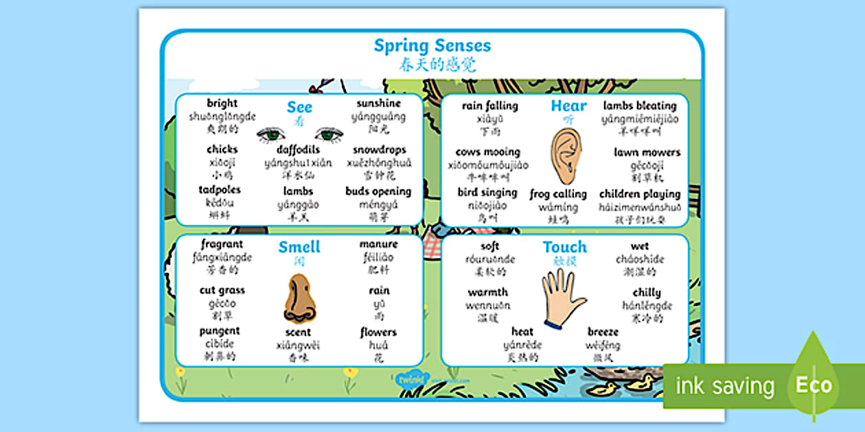 Spring Themed Senses Word Mat - English/Mandarin Chinese/Pinyin