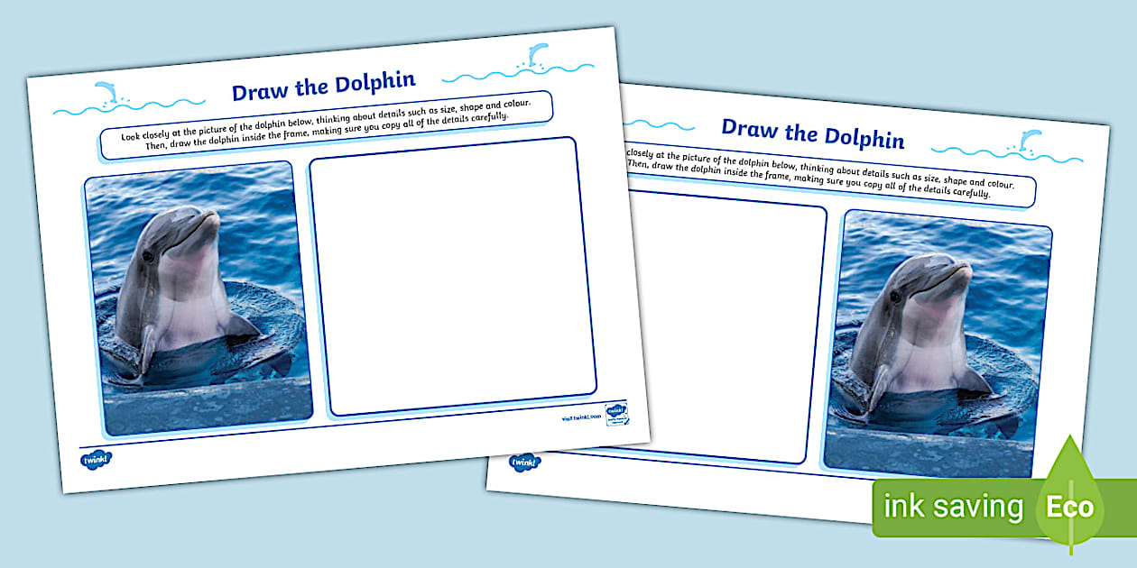 Draw the Dolphin Art Activity,dolphin (teacher made)