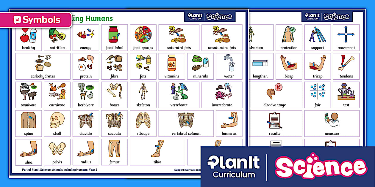 Twinkl Symbols: Animals Including Humans: Year 3: AAC Mat