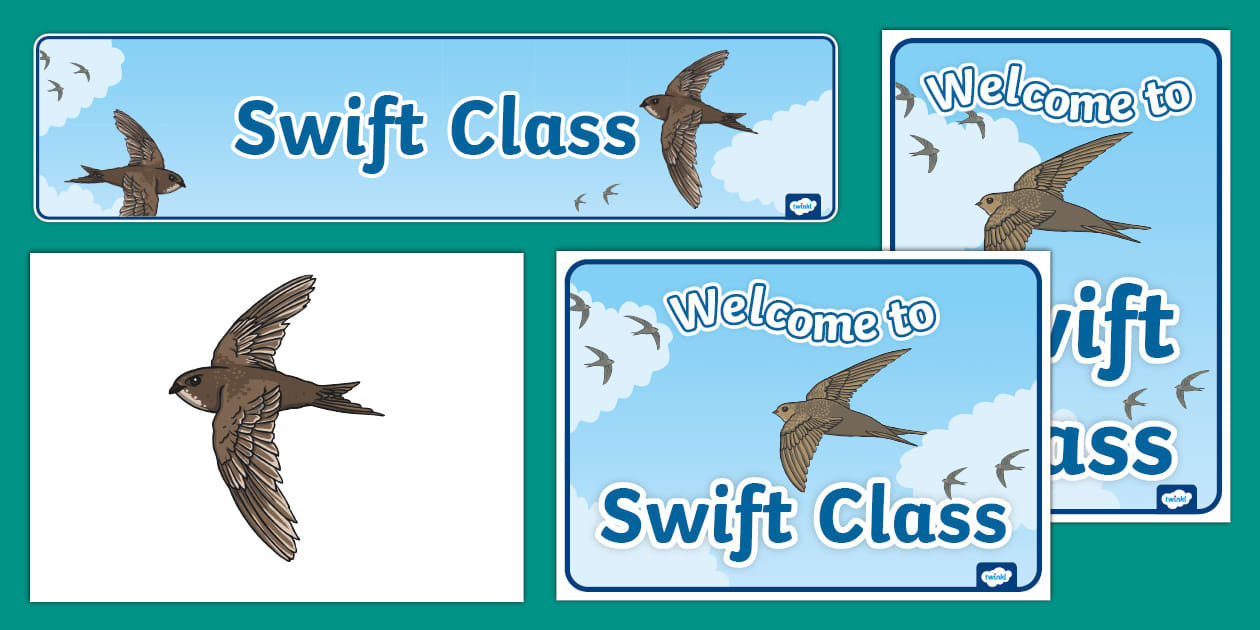 Swift Class Display Pack (teacher made) - Twinkl