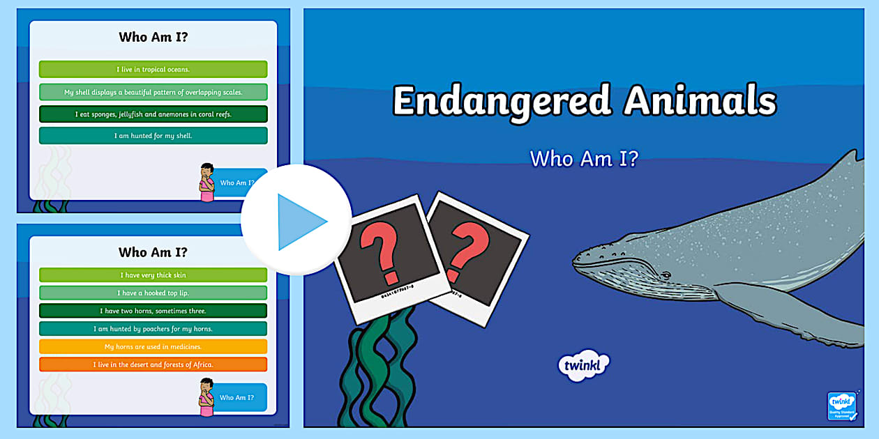 Endangered Animals Who Am I? PowerPoint - KS1 - Primary Resource
