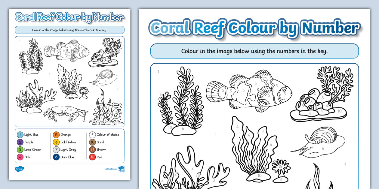 Coral Reef Colour by Numbers Worksheet (teacher made)