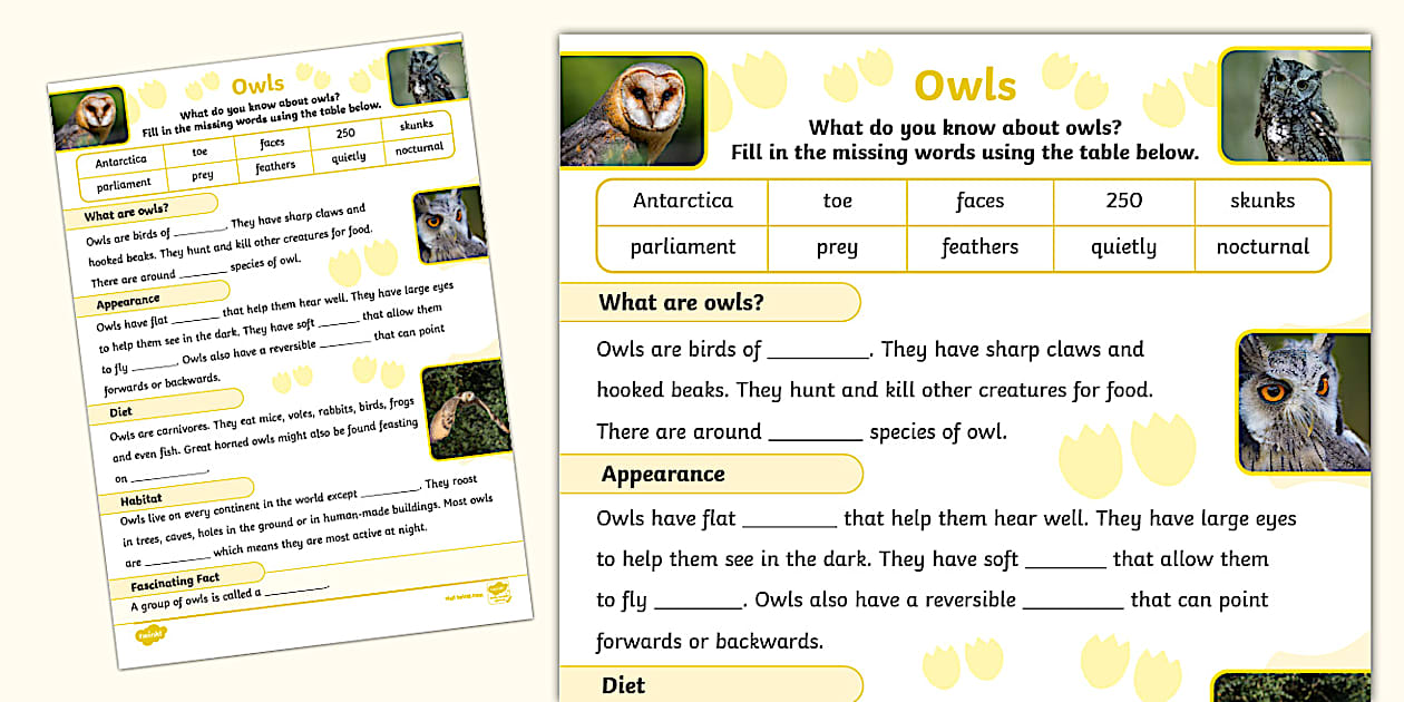 KS1 Owl Cloze Activity (teacher made) - Twinkl