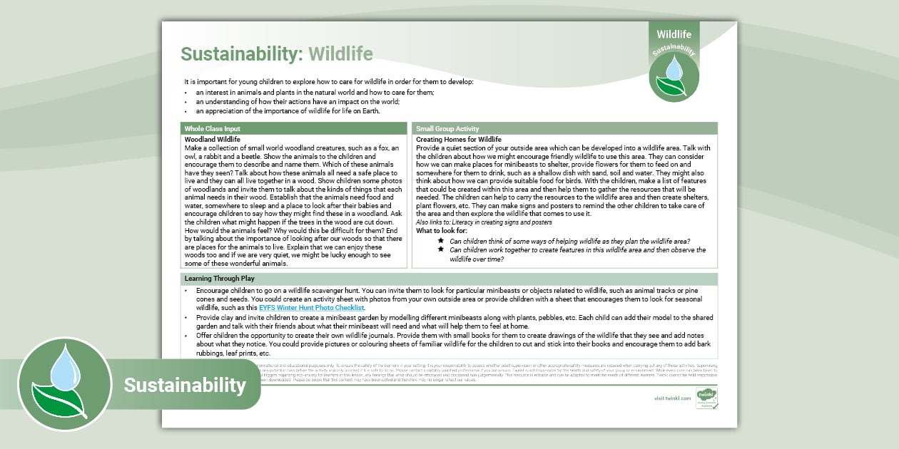 EYFS Sustainability Planning: Wildlife - Twinkl