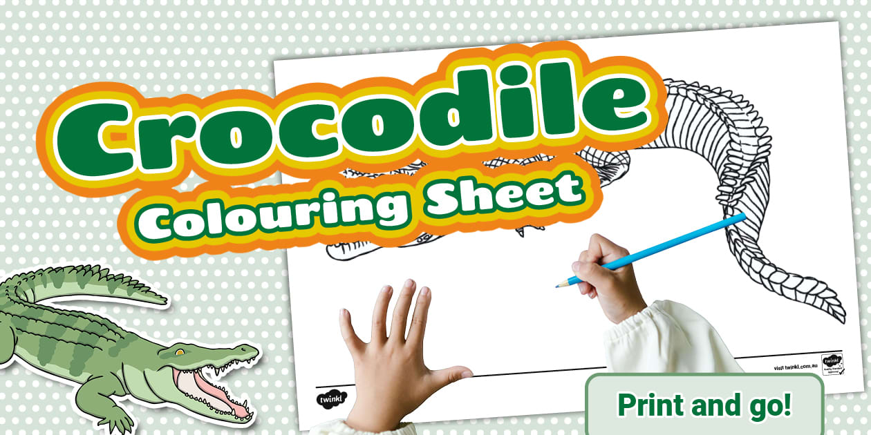 * NEW * Crocodile Colouring Sheet - Twinkl Asutralia