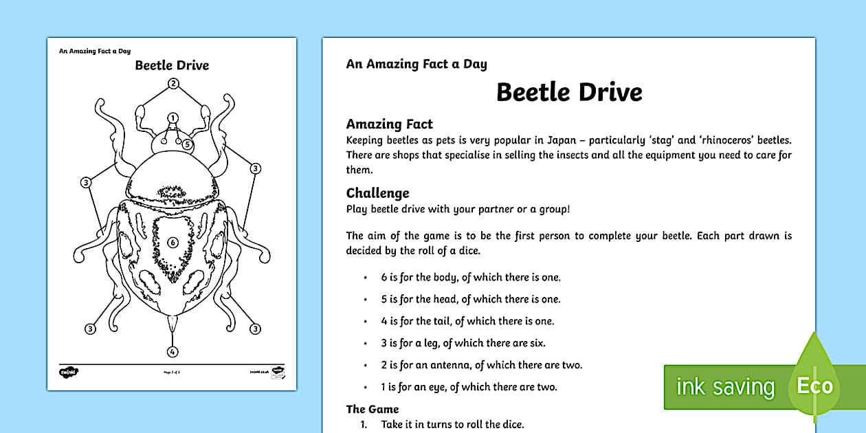 Editable Beetle Drive Game Template (teacher made) - Twinkl