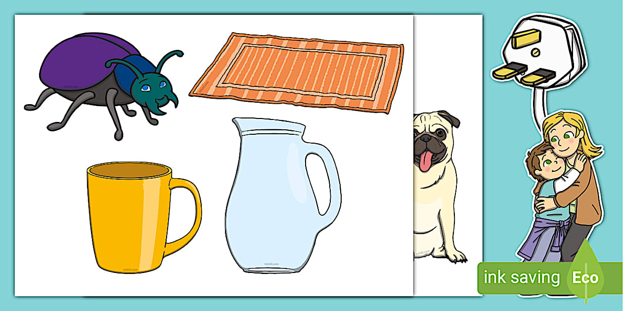 Bug Rhyming Words Cut-Outs (teacher made) - Twinkl