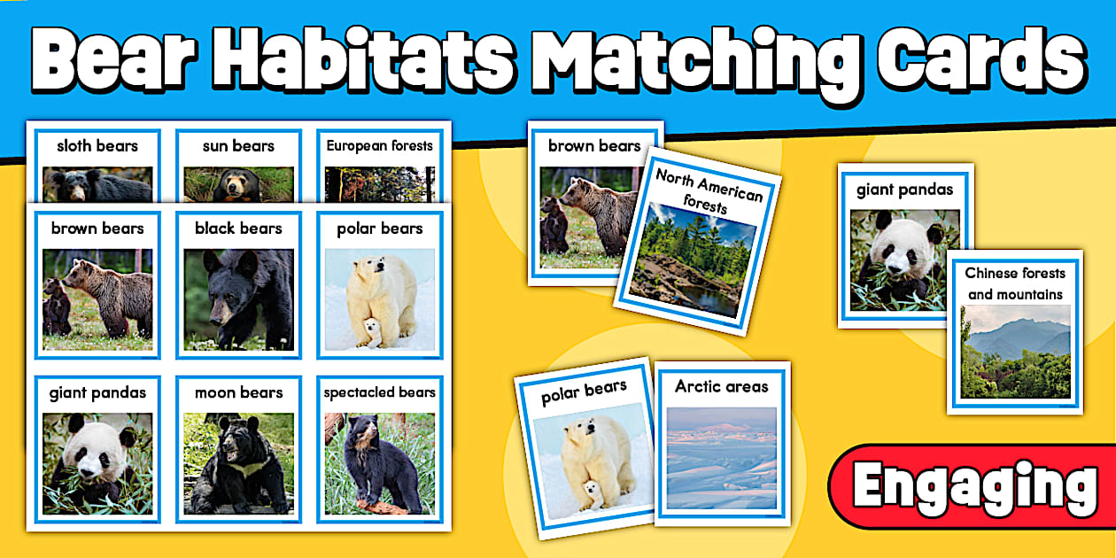 Bear Habitats Matching Cards