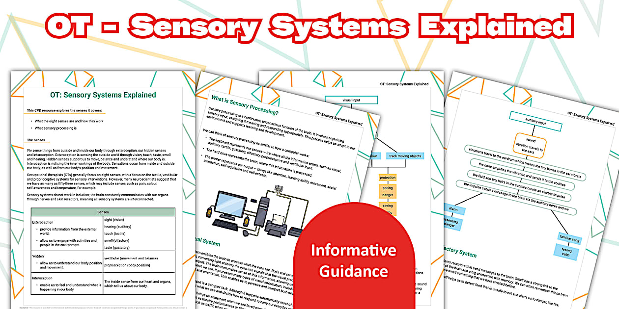 OT: Sensory Systems Explained
