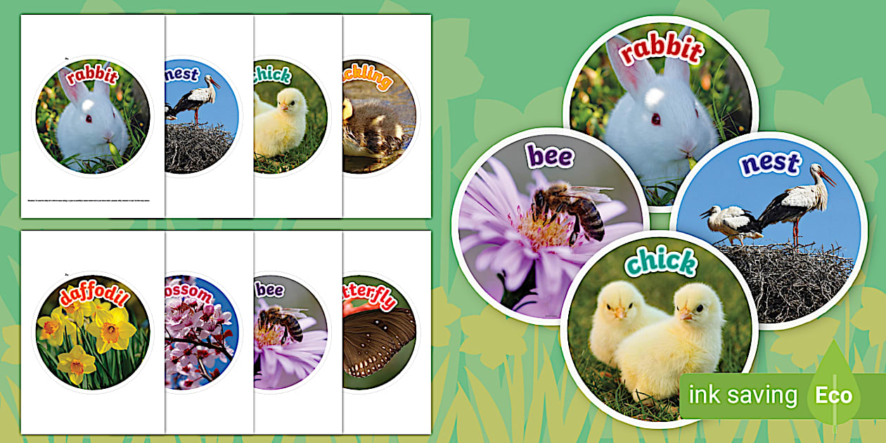 Spring in Ireland Circle Display Photo Cut-Outs - Twinkl