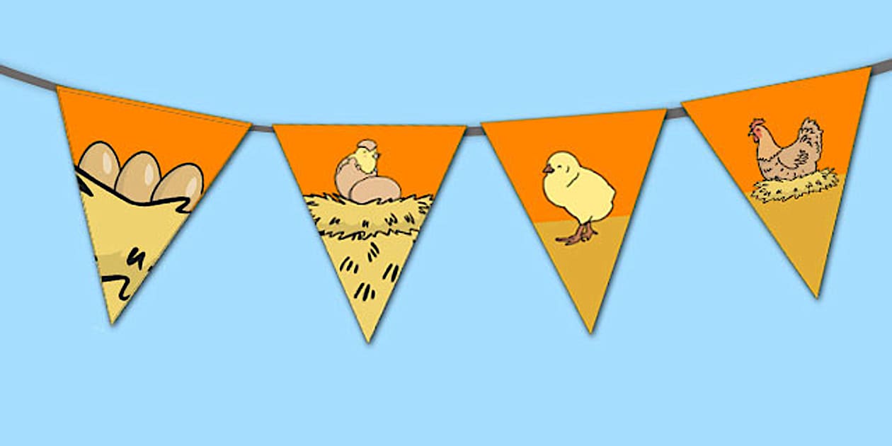 Life Cycle Of A Chicken Template Bunting - Twinkl - EYLF