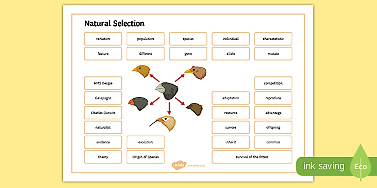 Natural Selection Word Mat (Teacher-Made) - Twinkl