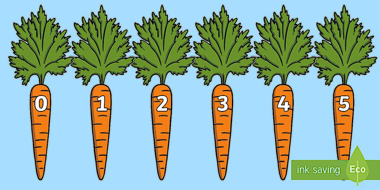 Numbers 0-31 on Carrots - Twinkl
