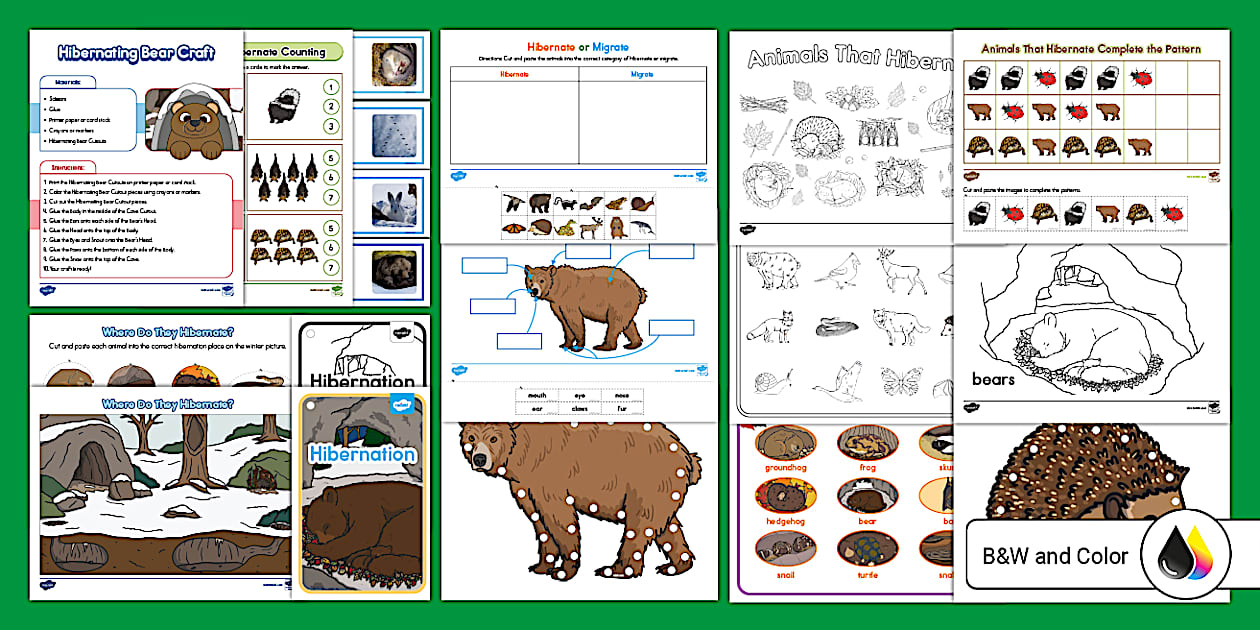 Pack of Hibernation Preschool Activities | Twinkl USA