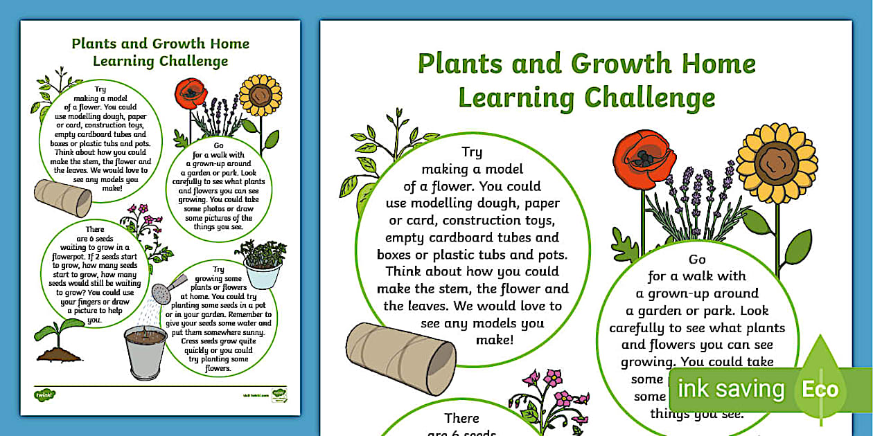 EYFS Plants and Growth Home Learning Challenges Nursery FS1