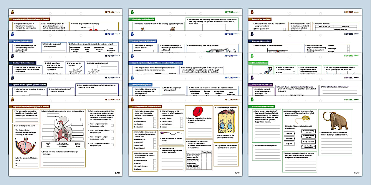 Biology GCSE Activity Mats