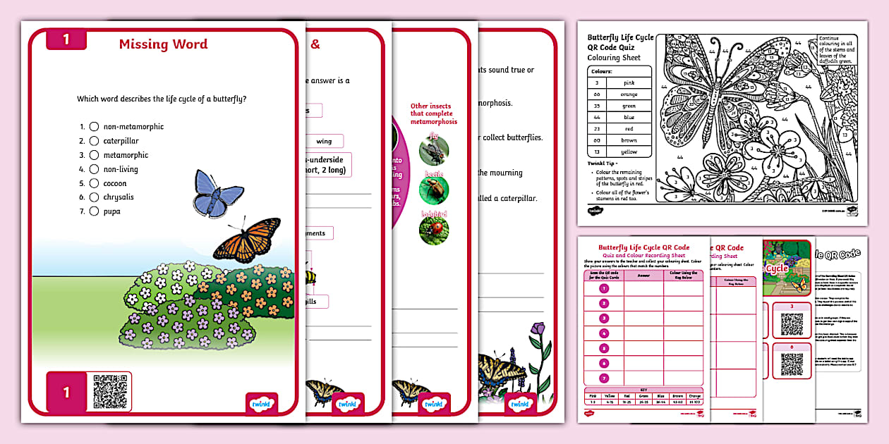 Butterfly Life Cycle Colouring QR Code Challenge - Twinkl