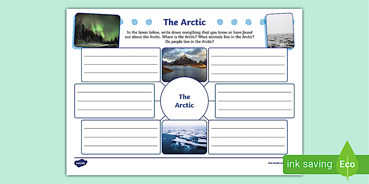 The Arctic Mind Map (teacher made) - Twinkl