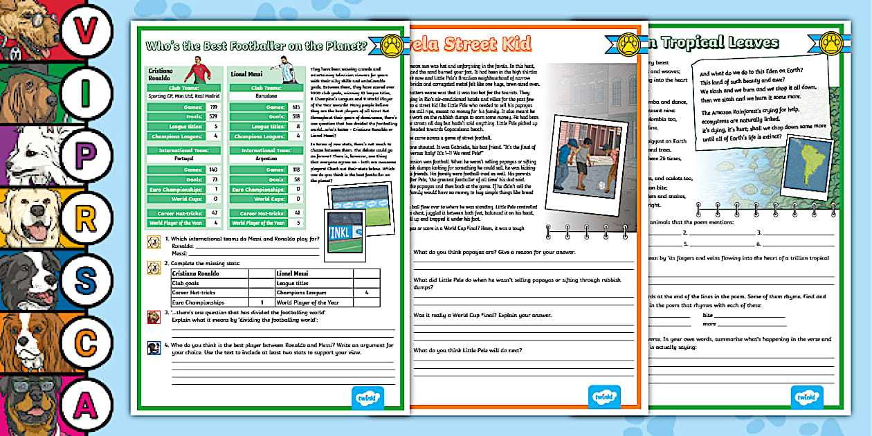 Y5 Reading 3 Revision Activity Mat Pack (teacher made)