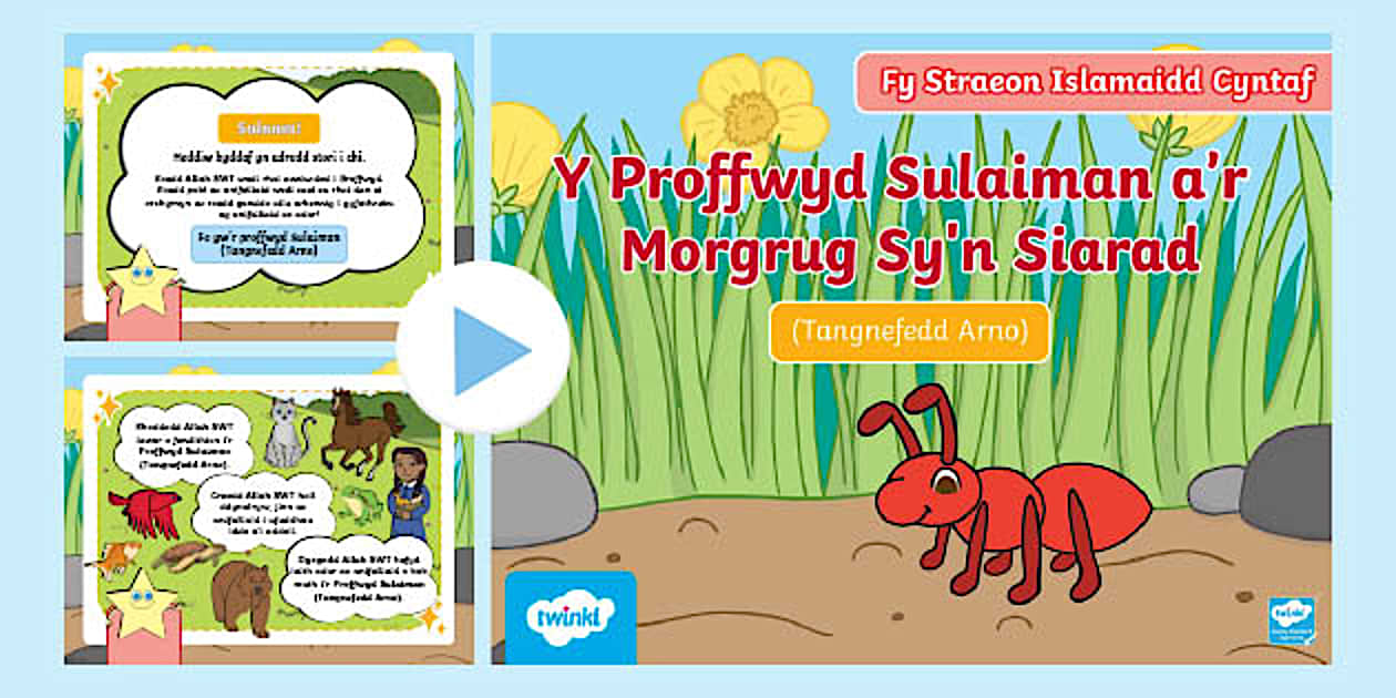 Pŵerbwynt y Proffwyd Sulaiman a'r Morgrug Sy'n Siarad