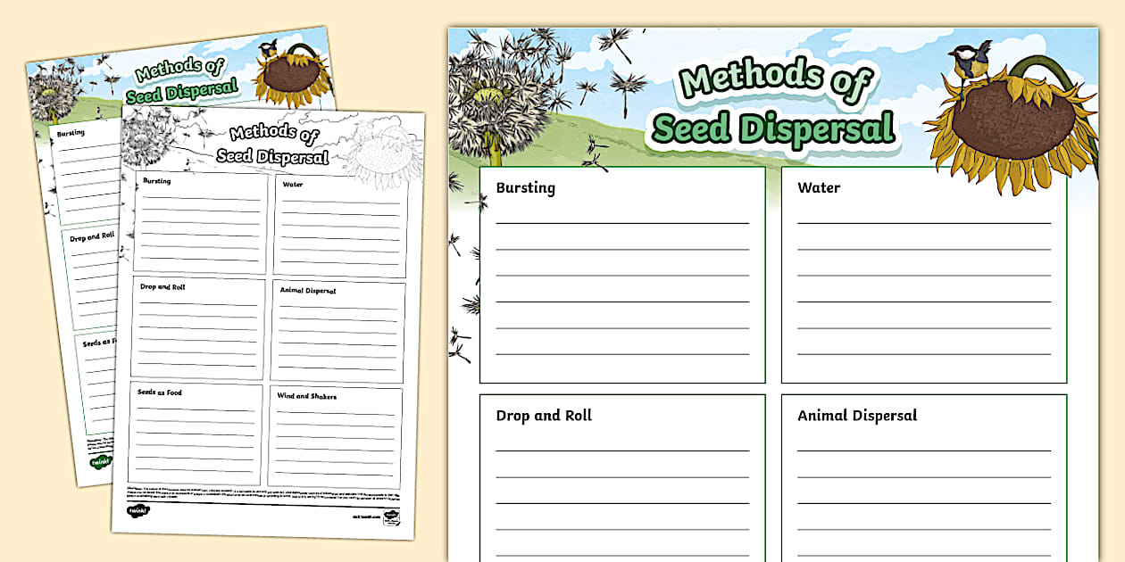Methods of Seed Dispersal Fact File Template (Teacher-Made)