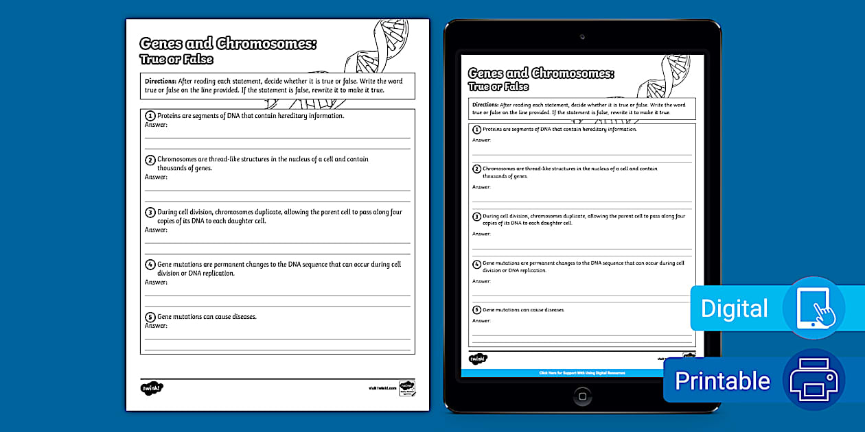 Sixth Grade Genes and Chromosomes True or False Assessment
