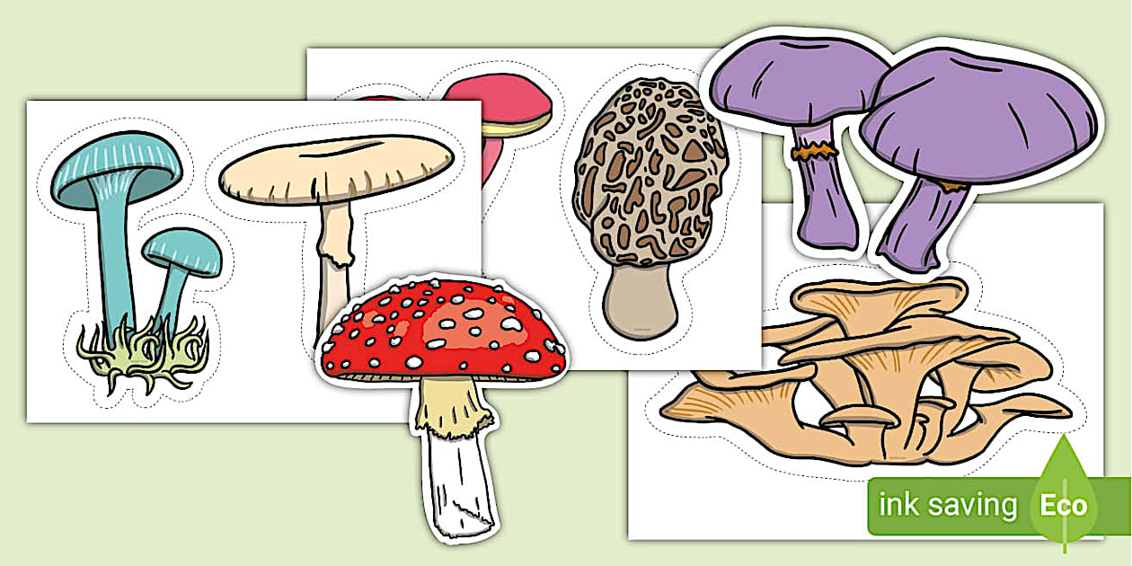 Mushroom Display Cut-Outs (teacher made) - Twinkl